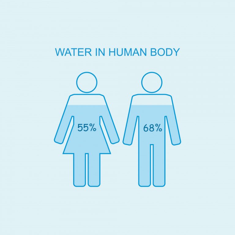 Why Does Alcohol Affect Women More Than Men? » ScienceABC