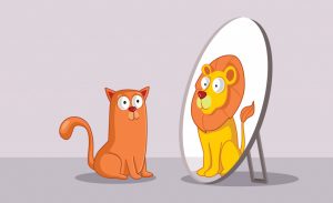 Can Animals Recognize Themselves In The Mirror? » ScienceABC