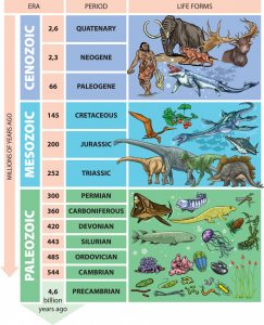 What Is The Geological Time Scale And How Is It Used? » ScienceABC