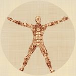 Why Does The Human Body Contain A Variety Of Metals? What Is The Role ...