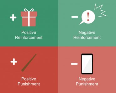 What Is The Difference Between Punishment And Negative Reinforcement? » ScienceABC