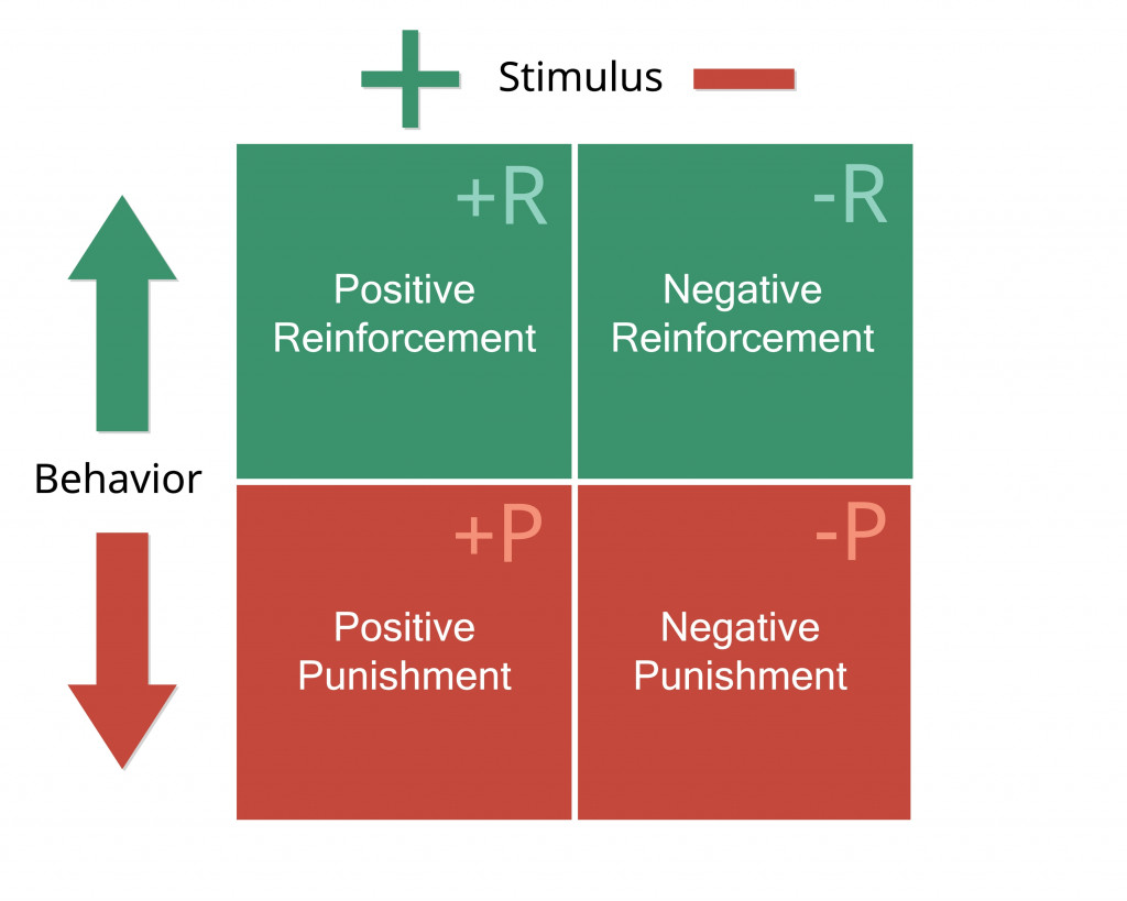 What Is The Difference Between Punishment And Negative Reinforcement? » ScienceABC