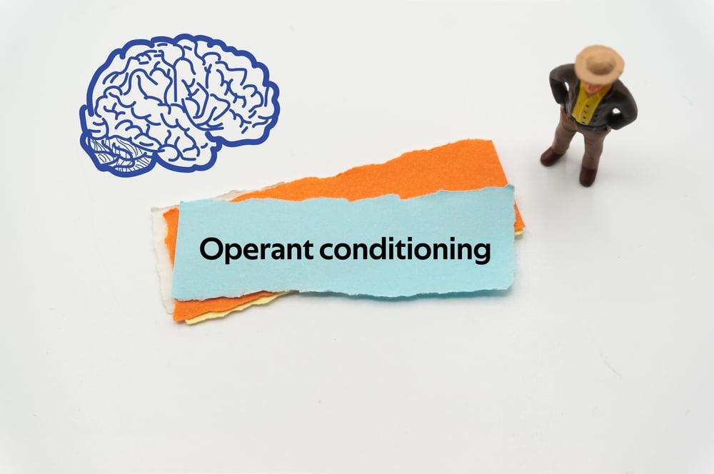 What Is The Difference Between Punishment And Negative Reinforcement ...