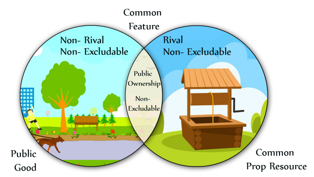 Why Are Public Resources Always Overused? » ScienceABC