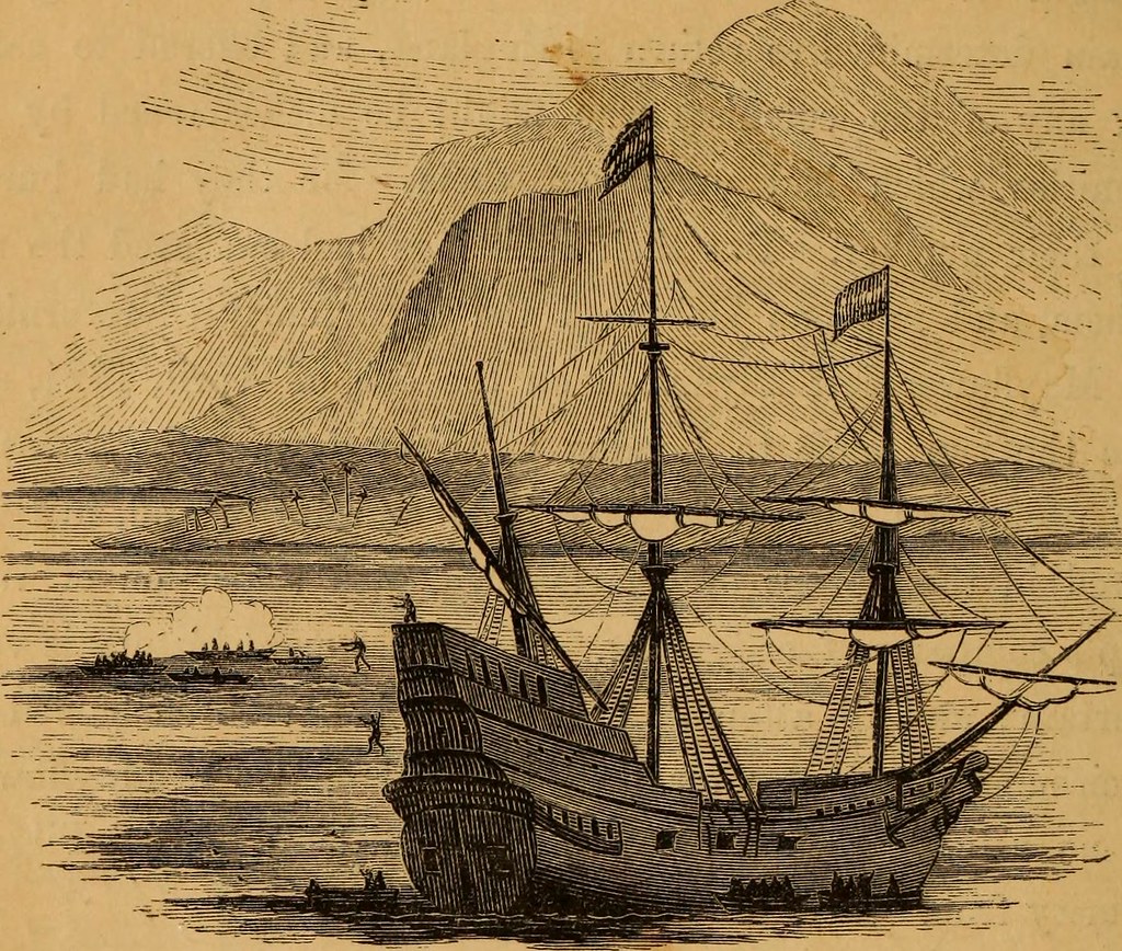 Do You Feel The Movement Of A Ship When You're Onboard? » ScienceABC