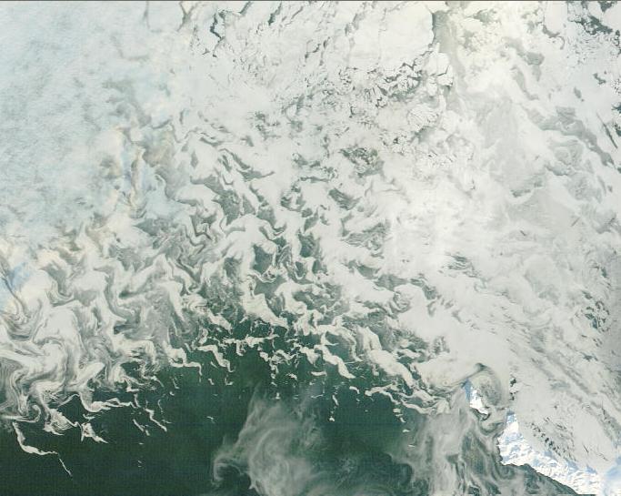 Why Is Sea Ice Made Of Freshwater When Oceans Are Salty? » ScienceABC