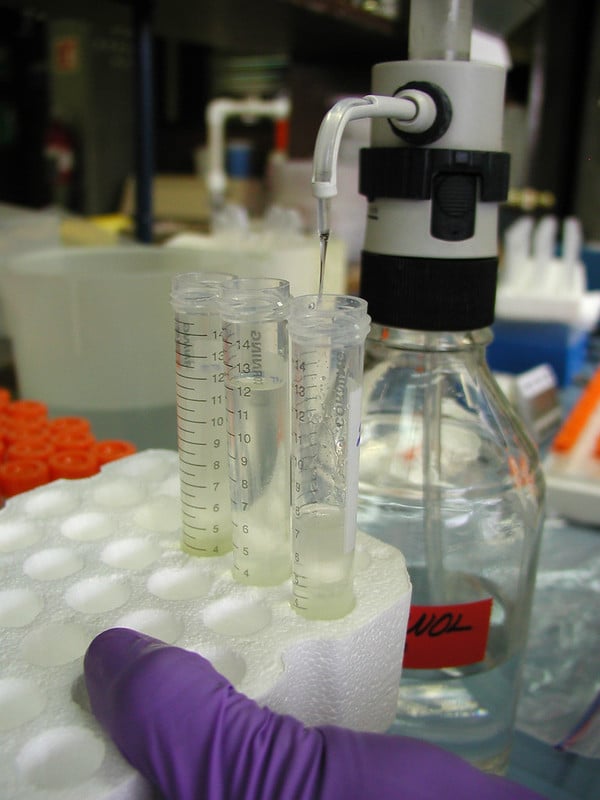 Why Is DNA White? » ScienceABC