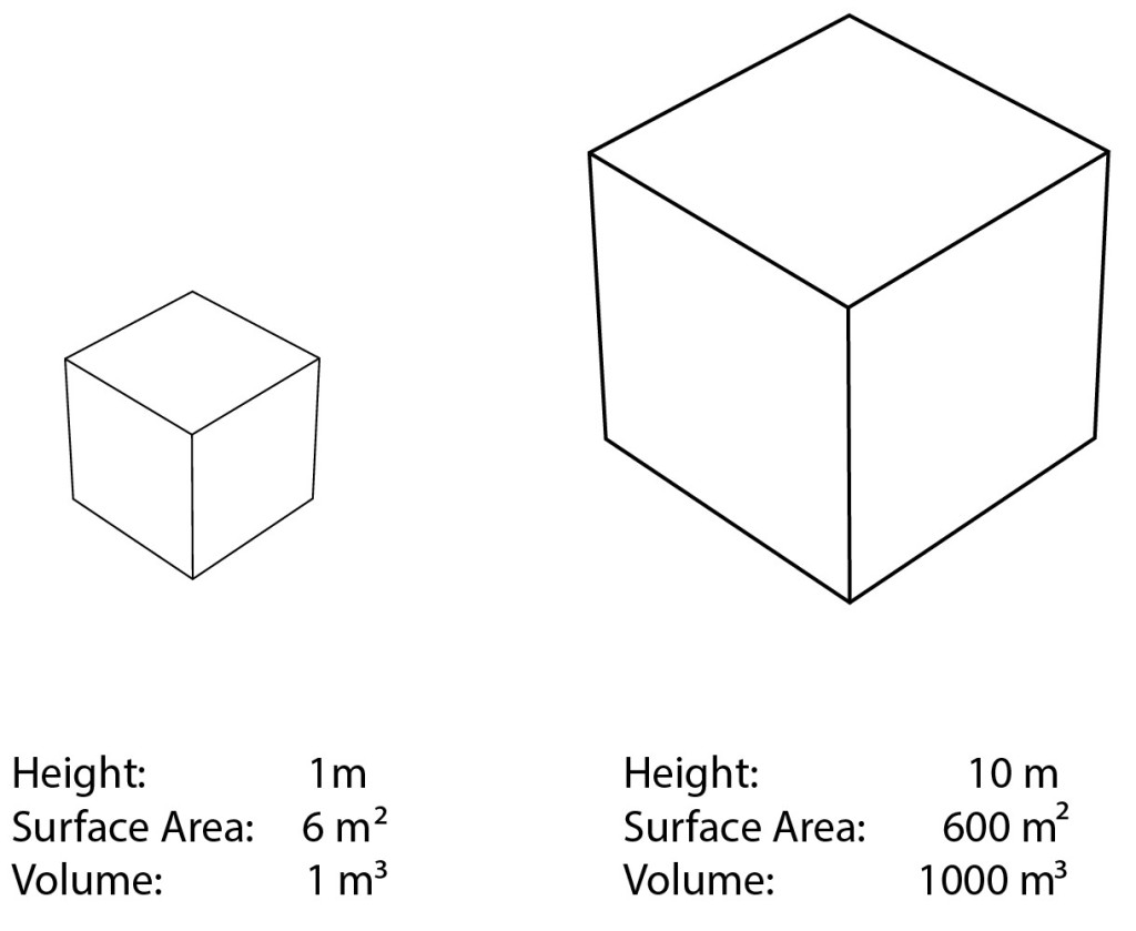 How Tall Can A Human Get?