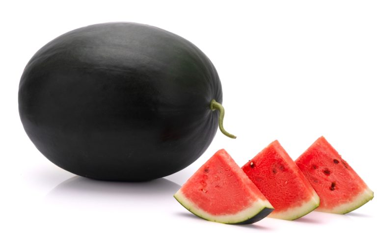 Why Does Watermelon Have Different Types Of Rind Patterns? » ScienceABC