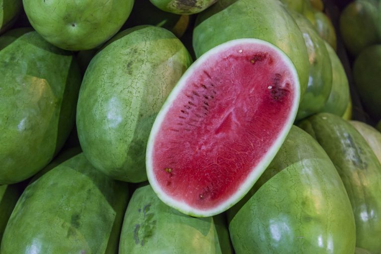 Why Does Watermelon Have Different Types Of Rind Patterns? » ScienceABC