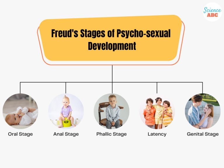 What's The Deal With Sigmund Freud? » ScienceABC