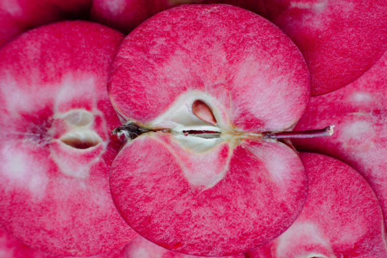Can Apples Have Red Flesh? » ScienceABC