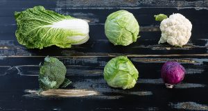 Are Kale And Cabbage The Same Plant? » ScienceABC