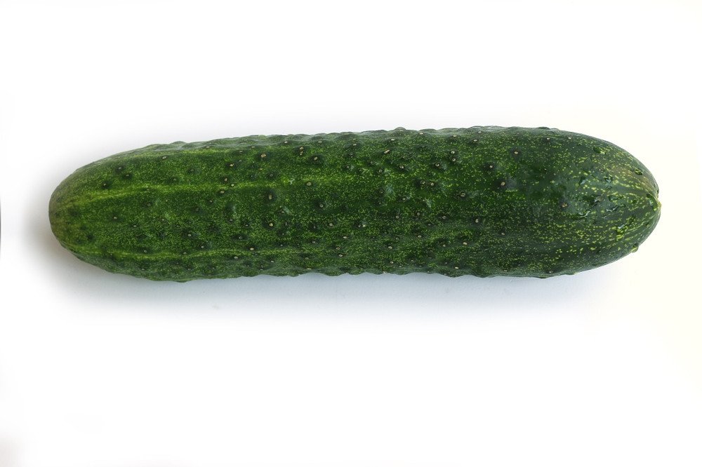 Cats And Cucumbers: Why Are Cats Afraid Of Cucumbers? Cats And Cucumbers: Why Are Cats Afraid Of Cucumbers?