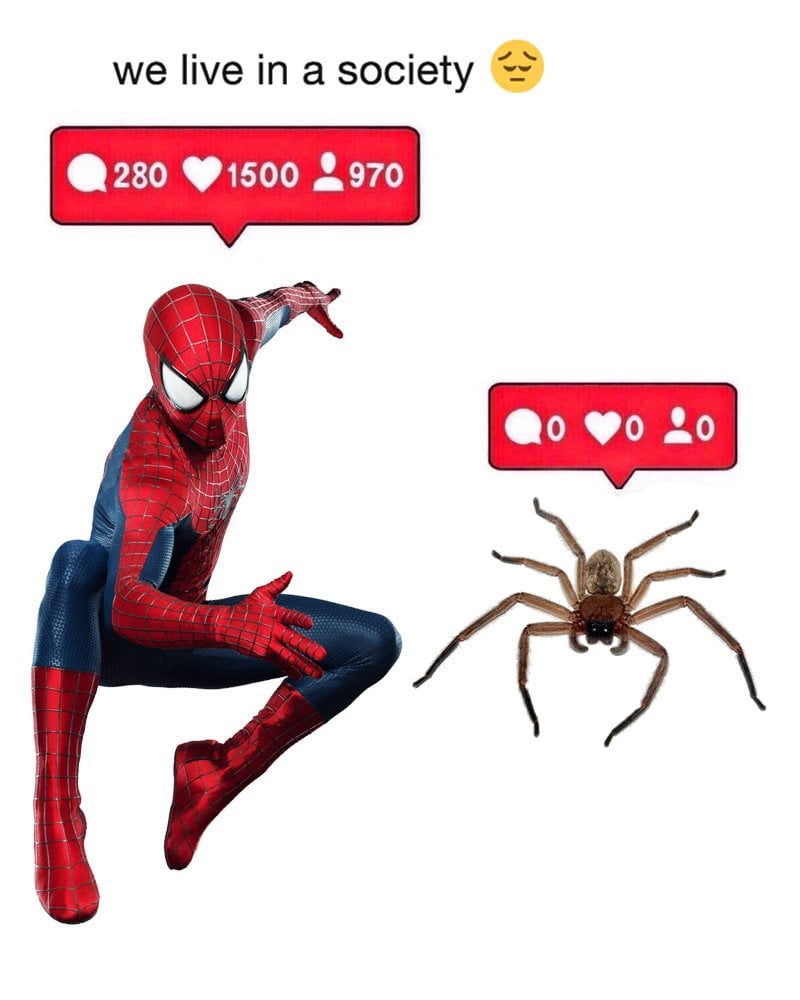 Arachnophobia: Why Are We Afraid Of Spiders? Arachnophobia: Why Are We Afraid Of Spiders?